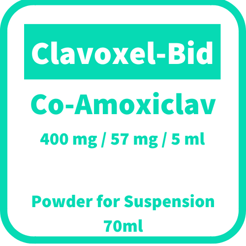 CLAVOXEL-BID Co-Amoxiclav 400mg / 57mg per 5mL Powder for Suspension ...